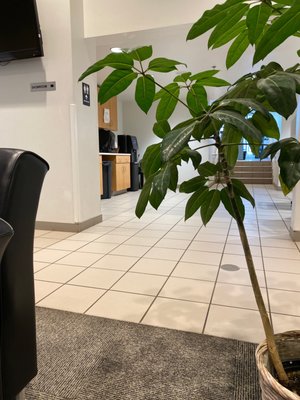 SPITZER BUICK GMC PARMA - Updated December 2025 - 31 Photos & 49 ...