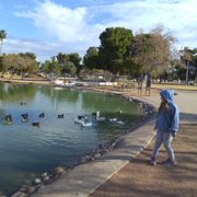 ROADRUNNER PARK - 61 Photos & 24 Reviews - 3502 E Cactus Rd, Phoenix ...