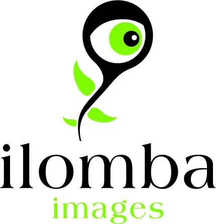 ILOMBA IMAGES - Updated March 2024 - 65 rue du moulin vert, Paris ...