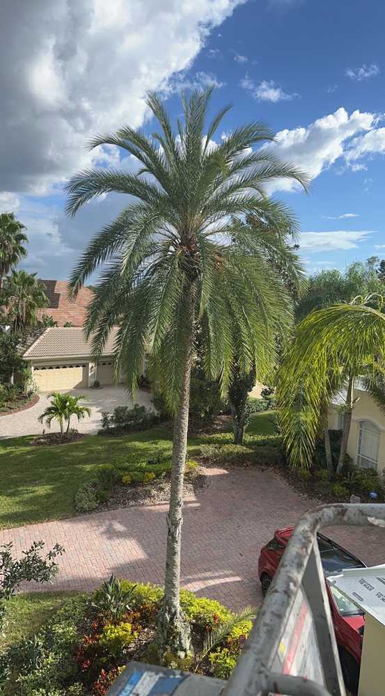 REDWOOD TREE CARE - Spring Hill, Florida - Tree Services - Phone Number ...