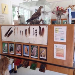 CALIFORNIA RAPTOR CENTER - 37 Photos & 16 Reviews - 1340 Equine Way ...