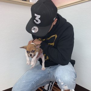 BIG RUN WOLF RANCH - 17 Photos & 33 Reviews - 14857 Farrell Rd ...