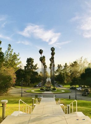BRAND PARK - 278 Photos & 82 Reviews - Parks - 1601 W Mountain St ...