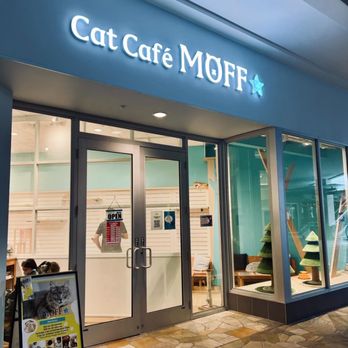 CAT CAFE MOFF - Updated September 2024 - 154 Photos & 35 Reviews - 2330 Kalakaua Ave, Honolulu ...