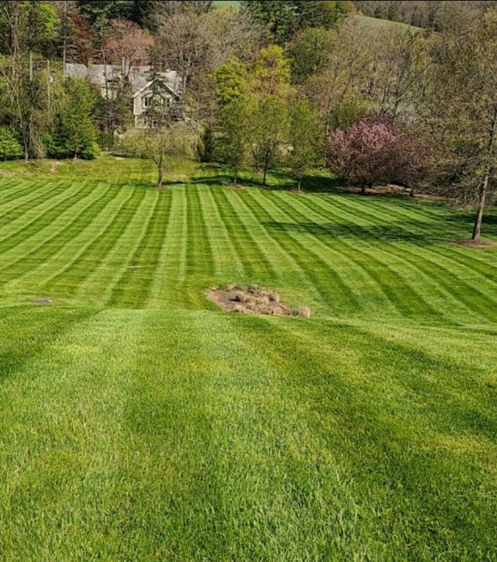 FARRIS LAWN CARE - Updated April 2024 - Request a Quote - Bunch ...