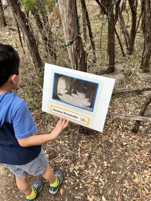 PARMAN LIBRARY AT STONE OAK - Updated September 2025 - 52 Photos & 37 ...