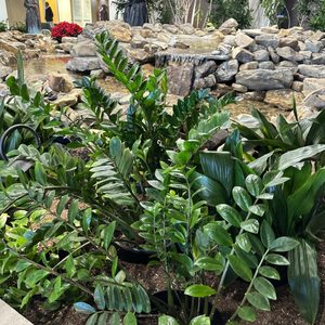 INDIANA POLYCLINIC - Updated January 2026 - 32 Reviews - 201 ...