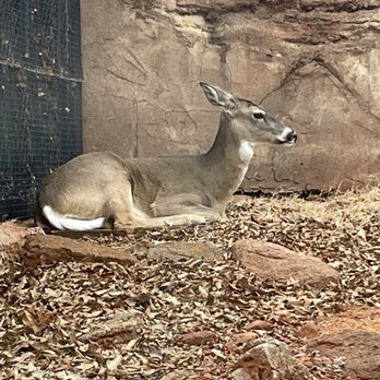 OKLAHOMA CITY ZOO - Updated May 2024 - 1111 Photos & 275 Reviews - 2101 ...