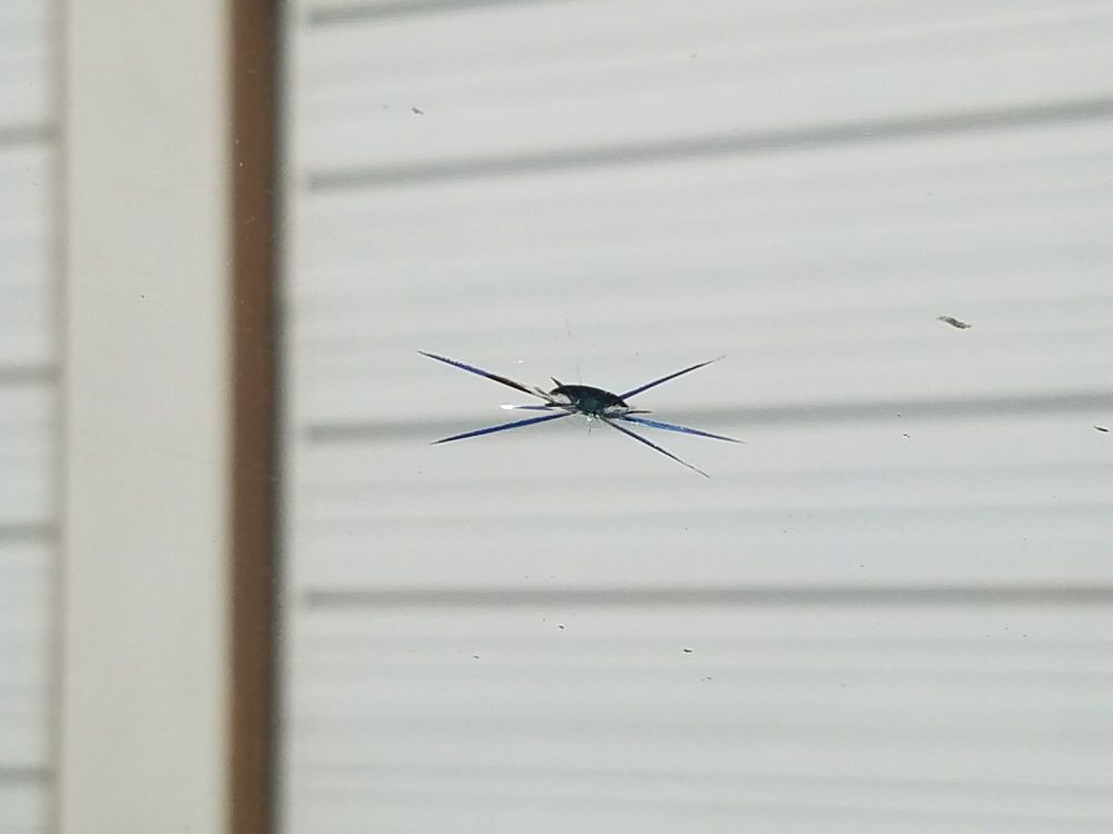 BULLSEYE WINDSHIELD REPAIR - Updated January 2026 - 25 Photos - Garden ...