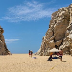 EL SQUID ROE - Updated July 2025 - 353 Photos & 304 Reviews - Col. Centro, Cabo San Lucas, Baja ...