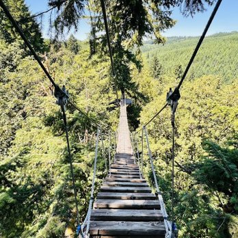 PUMPKIN RIDGE ZIP TOUR - Updated October 2025 - 104 Photos & 80 Reviews ...