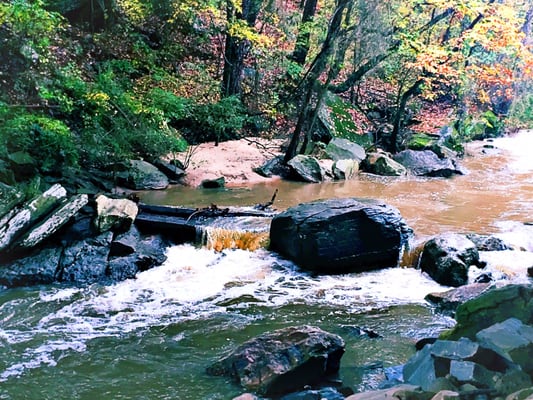 BOB CALLAN TRAIL - Updated October 2025 - 114 Photos & 21 Reviews - 342 ...