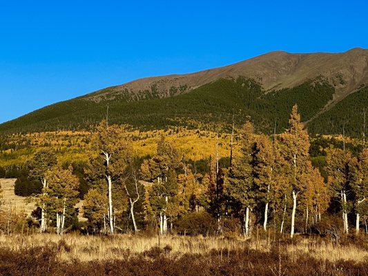 ASPEN NATURE LOOP - Updated December 2025 - 55 Photos & 18 Reviews ...