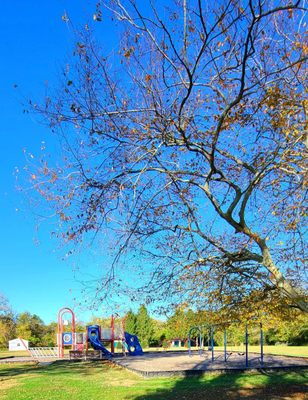 CHILO LOCK 34 PARK - 26 Photos - 521 County Park Rd, Chilo, Ohio ...