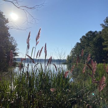 HARRIS LAKE COUNTY PARK - Updated December 2025 - 71 Photos & 23 ...