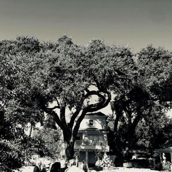 DELTA DIAMOND FARM - Updated August 2025 - 136 Photos & 25 Reviews ...