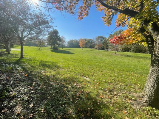 THATCHER PARK - Updated August 2025 - 32 Photos - 4649 W Vermont St ...