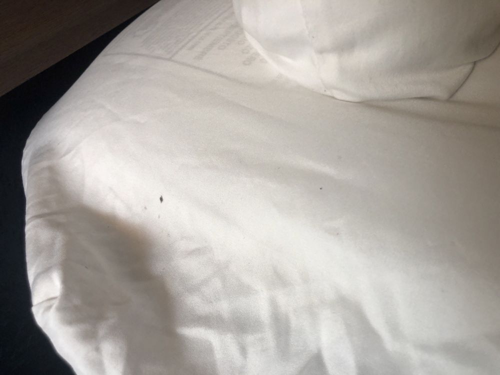 RODEWAY INN DENVER DOWNTOWN - Updated December 2025 - 29 Photos & 14 ...