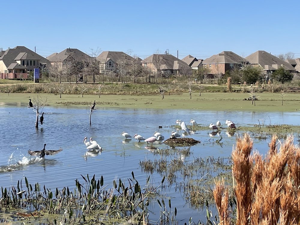 WETLANDS PARK AT RIVERSTONE - Updated June 2025 - 10 Photos - LJ Pkwy ...