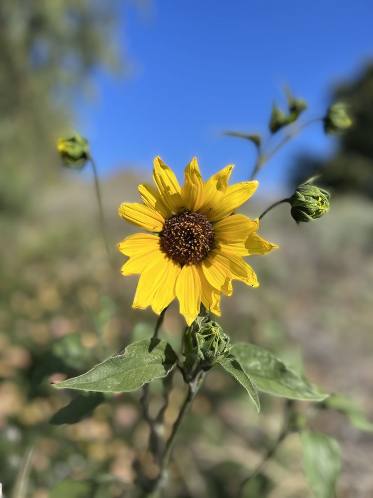 OAK QUARRY GOLF CLUB - Updated August 2025 - 432 Photos & 364 Reviews ...