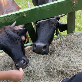 OIL RANCH - Updated September 2024 - 97 Photos & 48 Reviews - 23501 ...