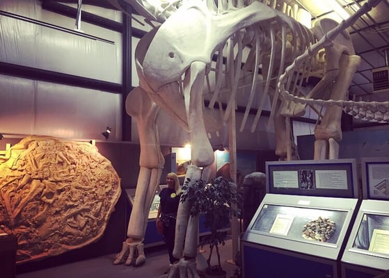 THE MONTANA DINOSAUR CENTER - Updated July 2025 - 11 Reviews - 120 2nd ...