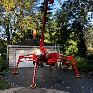 COUNTY TREE SERVICE - Updated June 2024 - 201 Photos & 300 Reviews ...