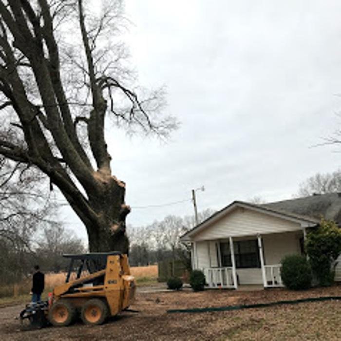 ARBORTECH TREE CARE - Updated July 2025 - 25 Photos - Austin, Arkansas ...