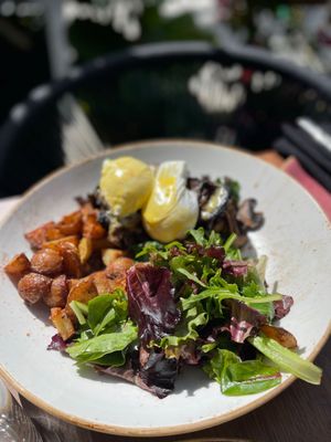 THE BLUE DOG COOKHOUSE AND BAR - 102 Photos & 54 Reviews - 6000 Glades ...