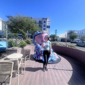 MOLLY TEA - Updated August 2025 - 1264 Photos & 927 Reviews - 425 W ...