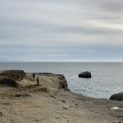 LIGHTHOUSE FIELD STATE BEACH - 466 Photos & 137 Reviews - 701 W Cliff ...