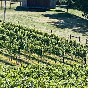 GRANDVIEW VINEYARD - Updated January 2026 - 130 Photos & 66 Reviews ...