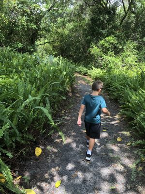 DEERFIELD ISLAND PARK - 98 Photos - 1720 Deerfield Island Park ...