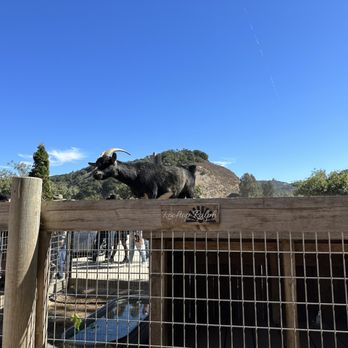 AVILA VALLEY BARN - Updated May 2024 - 2672 Photos & 874 Reviews - 560 ...