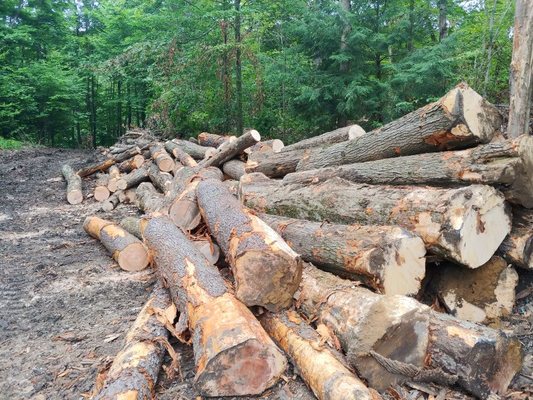 TROYER’S TIMBER HARVESTING - Updated July 2026 - 2700 Clintonville Rd ...
