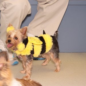 HIGH RIDGE ANIMAL HOSPITAL - Updated January 2025 - 13 Reviews - 2612 ...