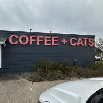 DON’T STRESS MEOWT - CAT CAFE - Updated December 2025 - 311 Photos & 41 ...