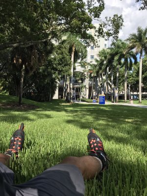 FIU GREEN LIBRARY - Updated December 2025 - 47 Photos & 34 Reviews ...