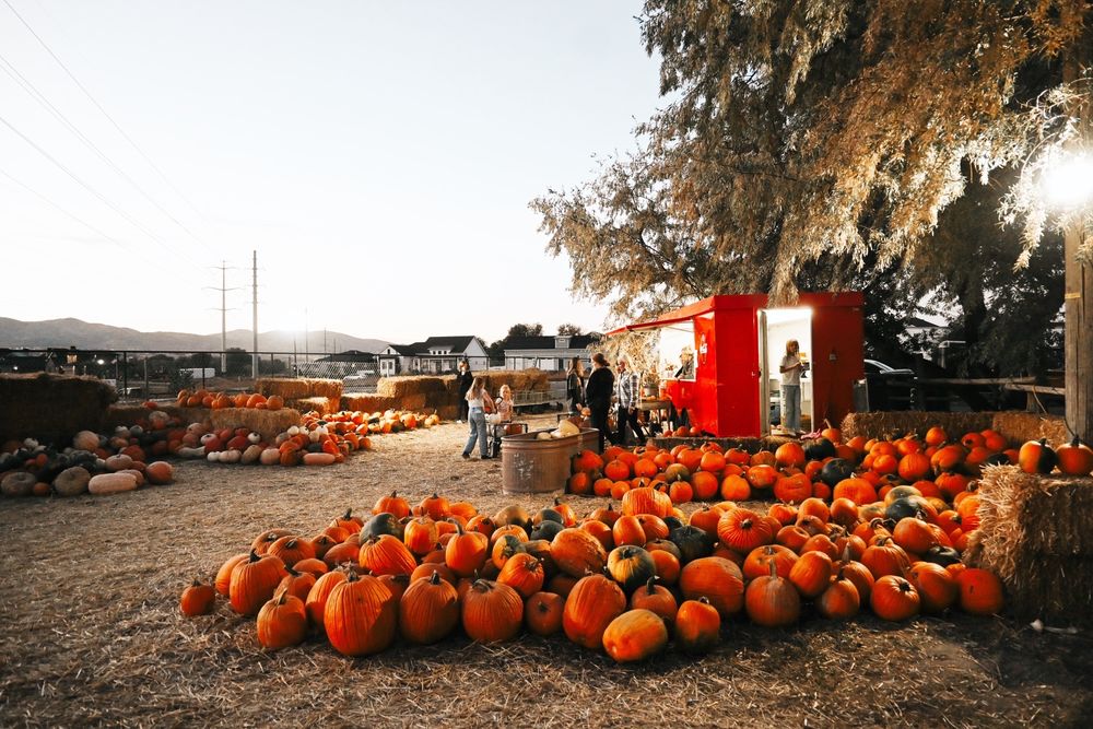 EVANS FAMILY FARM - Updated December 2025 - 24 Photos - 2600 W Main St ...