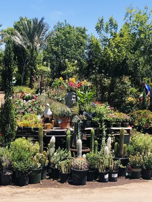 WHITFILL NURSERIES - 33 Photos & 63 Reviews - 2647 E Southern Ave ...