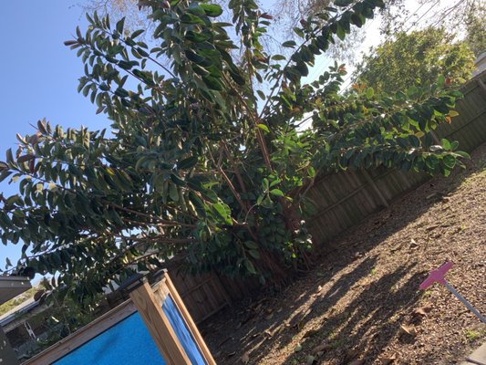 CAMPBELLS NOBLE LANDSCAPING - Updated December 2025 - 70 Photos & 30 ...