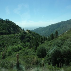 PALI INSTITUTE - 149 Photos & 91 Reviews - Specialty Schools - 30778 CA ...