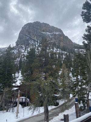 NEVADA COMMUNITY MANAGEMENT - Updated October 2025 - 18 Photos & 66 ...