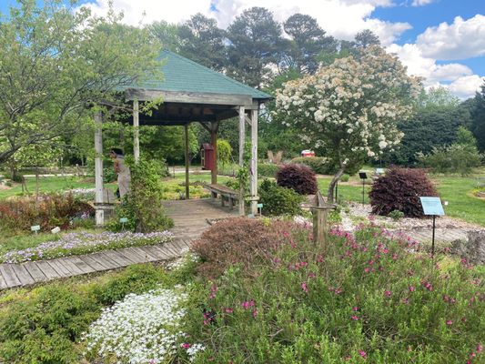 TIDEWATER ARBORETUM - Updated November 2024 - 25 Photos - 1444 Diamond ...