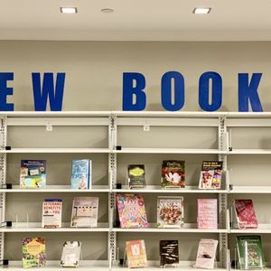 BEAR LIBRARY - Updated December 2025 - 21 Photos - 101 Governors Pl ...