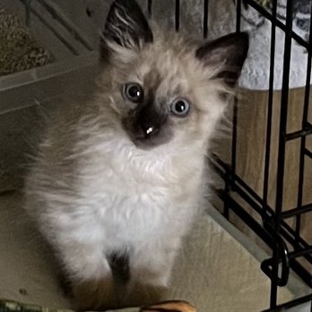 LOMA LINDA ANIMAL HOSPITAL - Updated October 2025 - 256 Photos & 892 ...