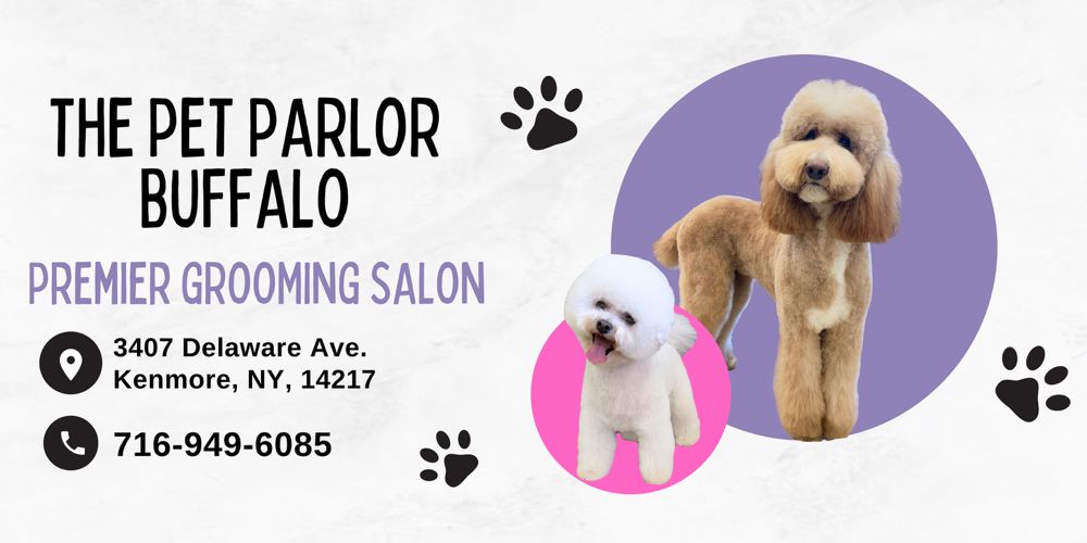 THE PET PARLOR BUFFALO - Updated October 2025 - Request an Appointment ...