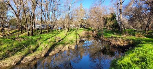 JOHNSON-SPRINGVIEW PARK - Updated October 2025 - 78 Photos & 34 Reviews ...