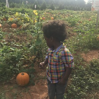 YULE FOREST - Updated October 2025 - 143 Photos & 38 Reviews - 3565 Hwy ...