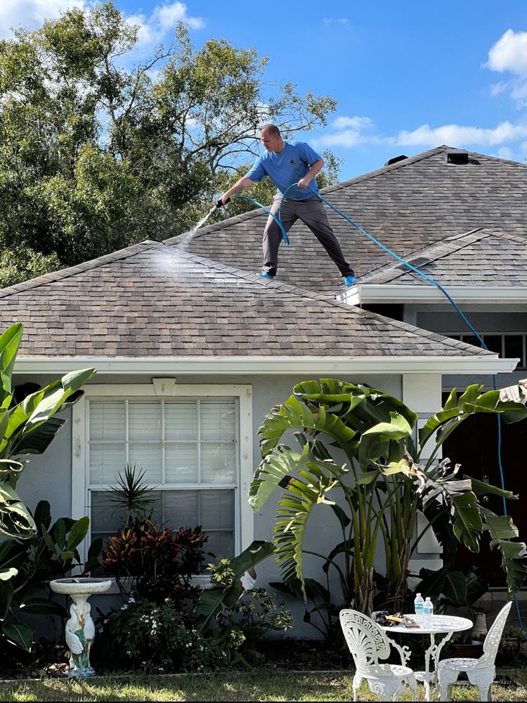 THE SOUTHWEST SHARKS - Updated October 2025 - 65 Photos - Sarasota ...